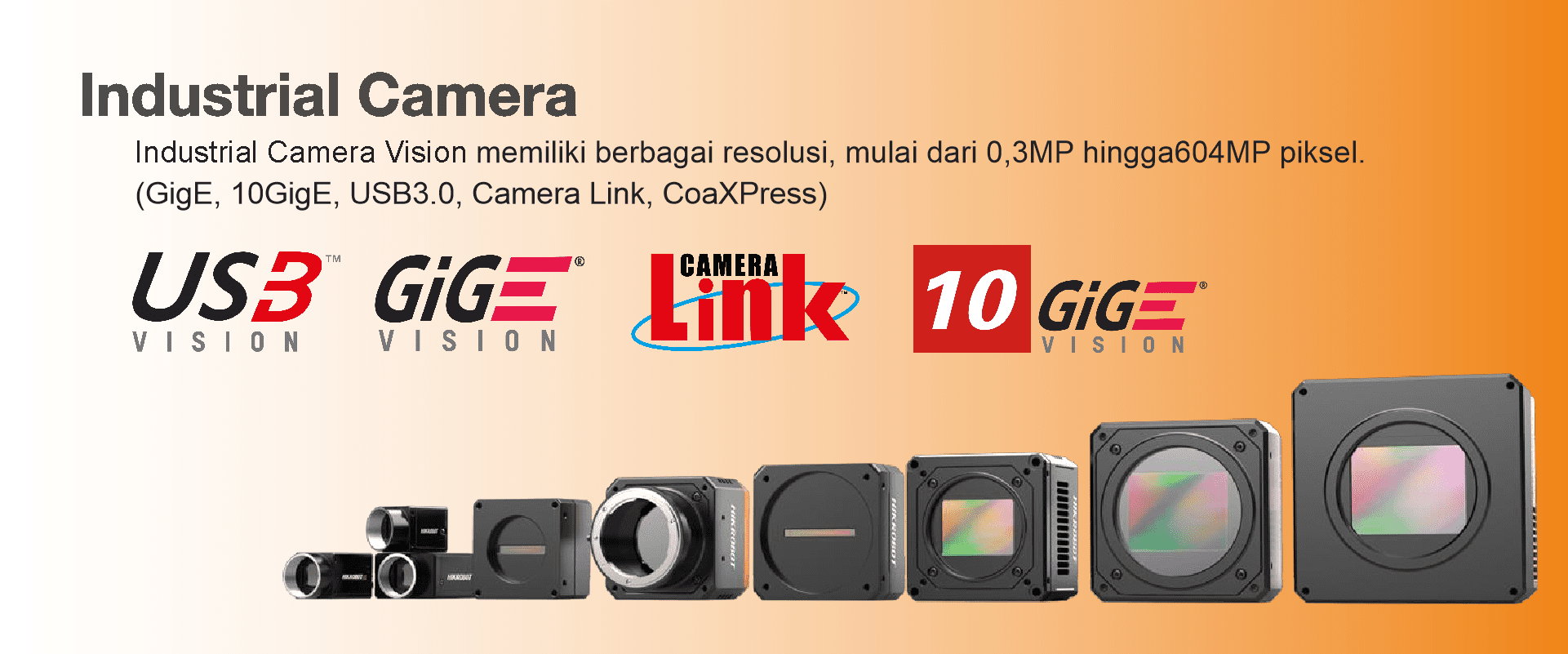 Vision Camera Sensor | Camera Inspection System - Vision Sensor