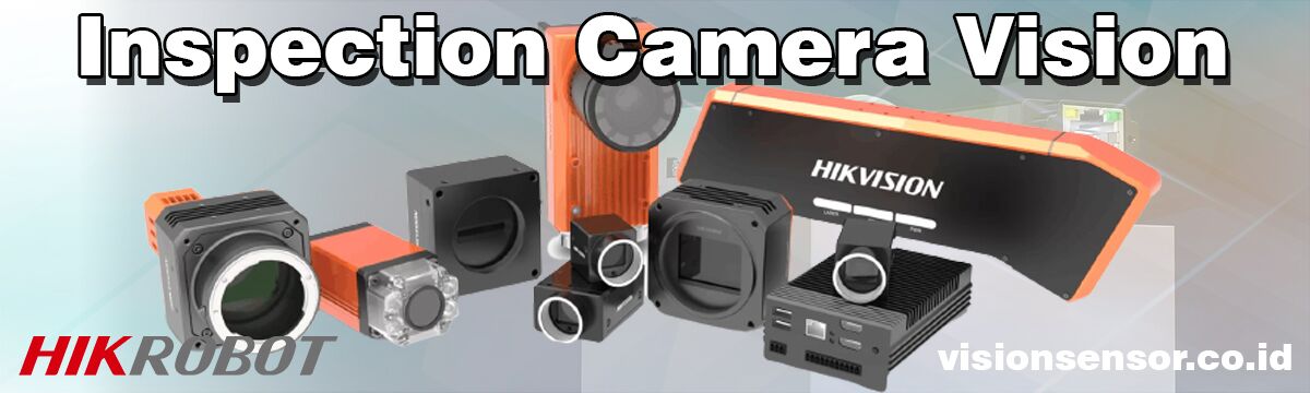 Camera Inspection System - Vision Sensor